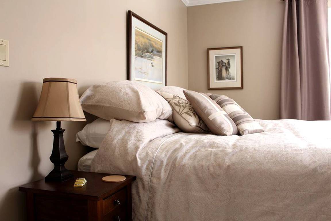 Chalet ∙ 1 Chambre ∙ 3 Personnes - Ontario