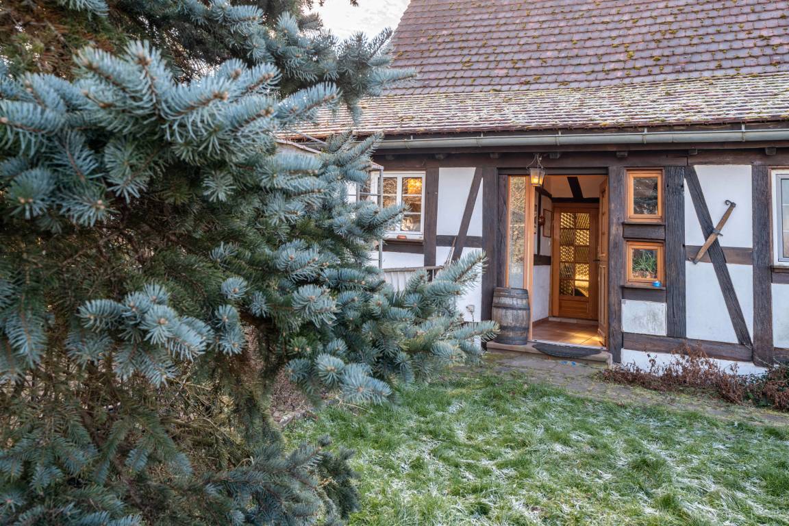 35 M² Apartment ∙ 1 Bedroom ∙ 2 Guests - Wissembourg