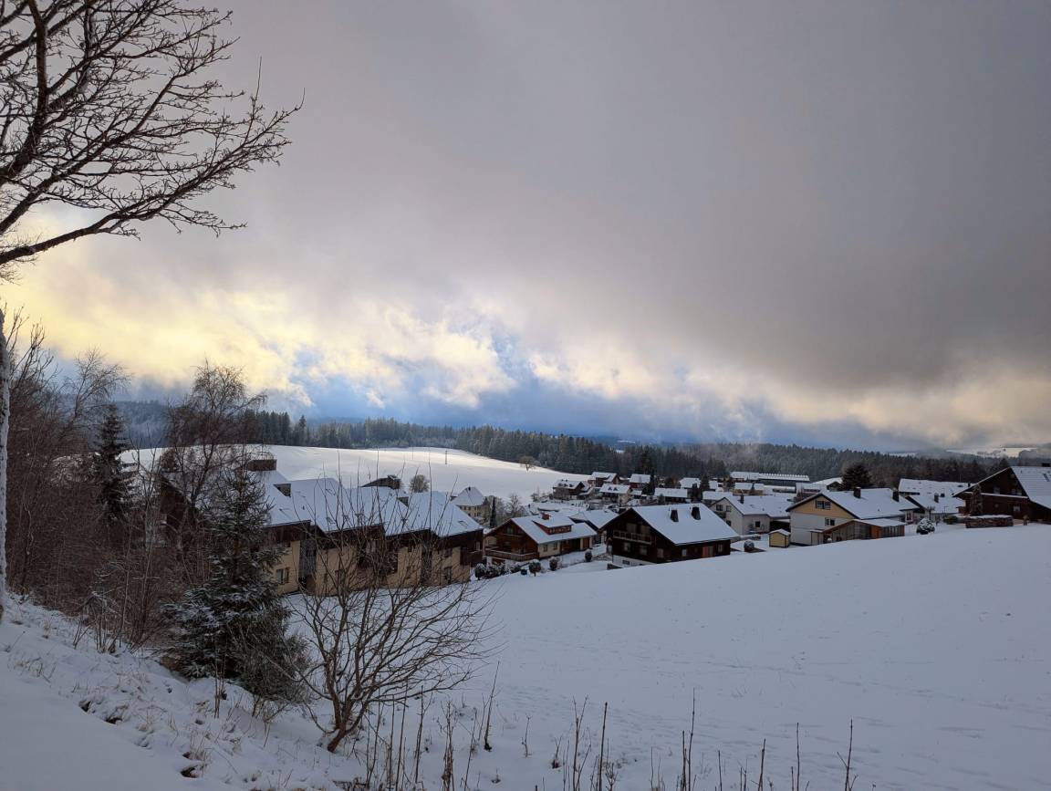 50 M² Apartamento ∙ 1 Habitación ∙ 3 Huéspedes - Furtwangen