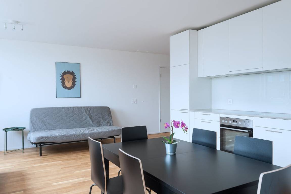 63 M² Ferienwohnung ∙ 1 Schlafzimmer ∙ 5 Gäste - Basel