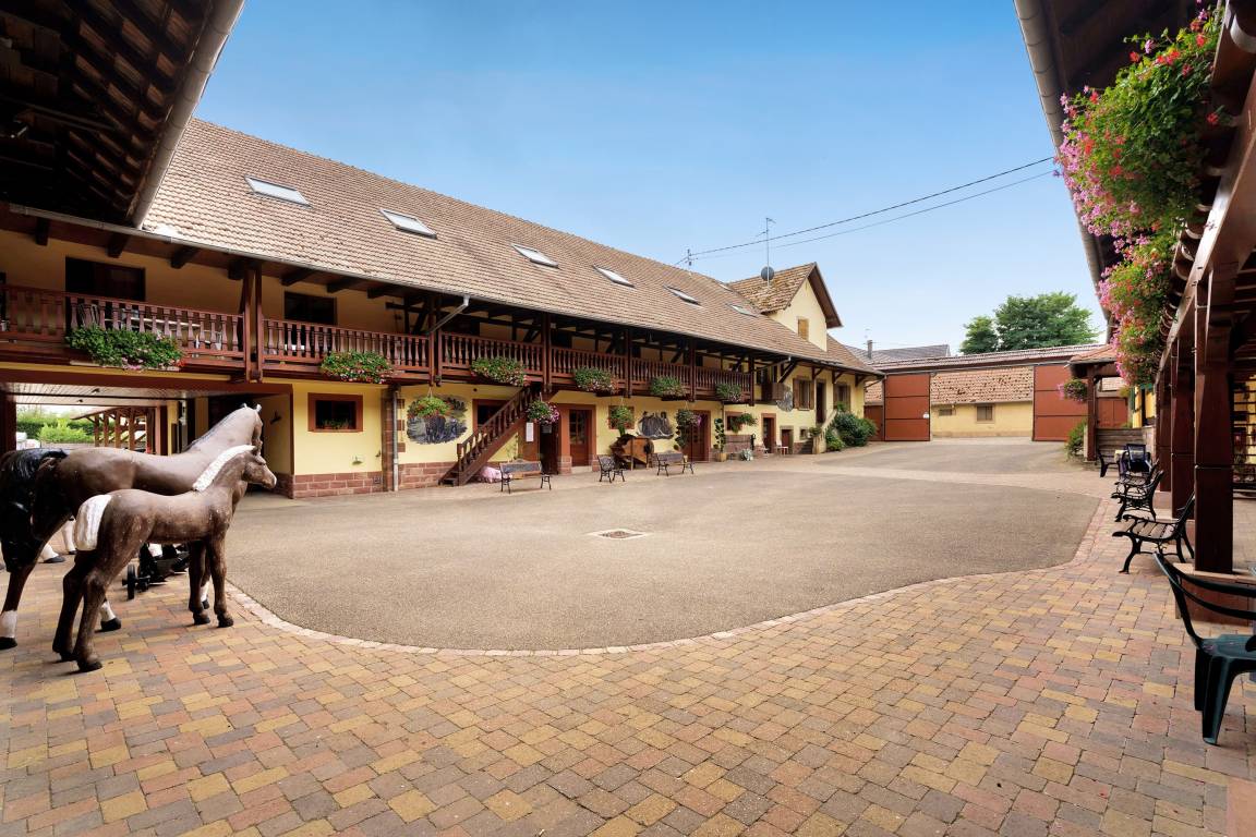 35 M² Cottage ∙ 2 Bedrooms ∙ 4 Guests - Alsace