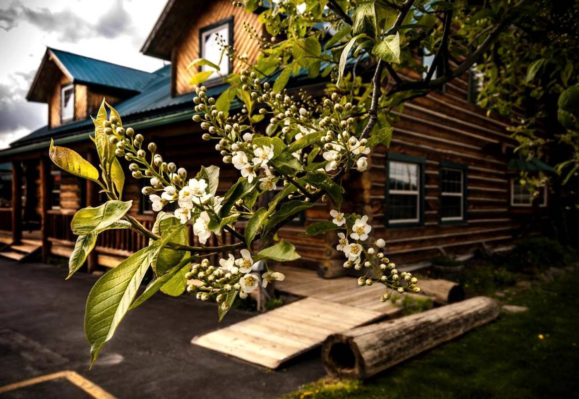 Albergue ∙ 1 Habitación ∙ 5 Huéspedes - Bonners Ferry, ID