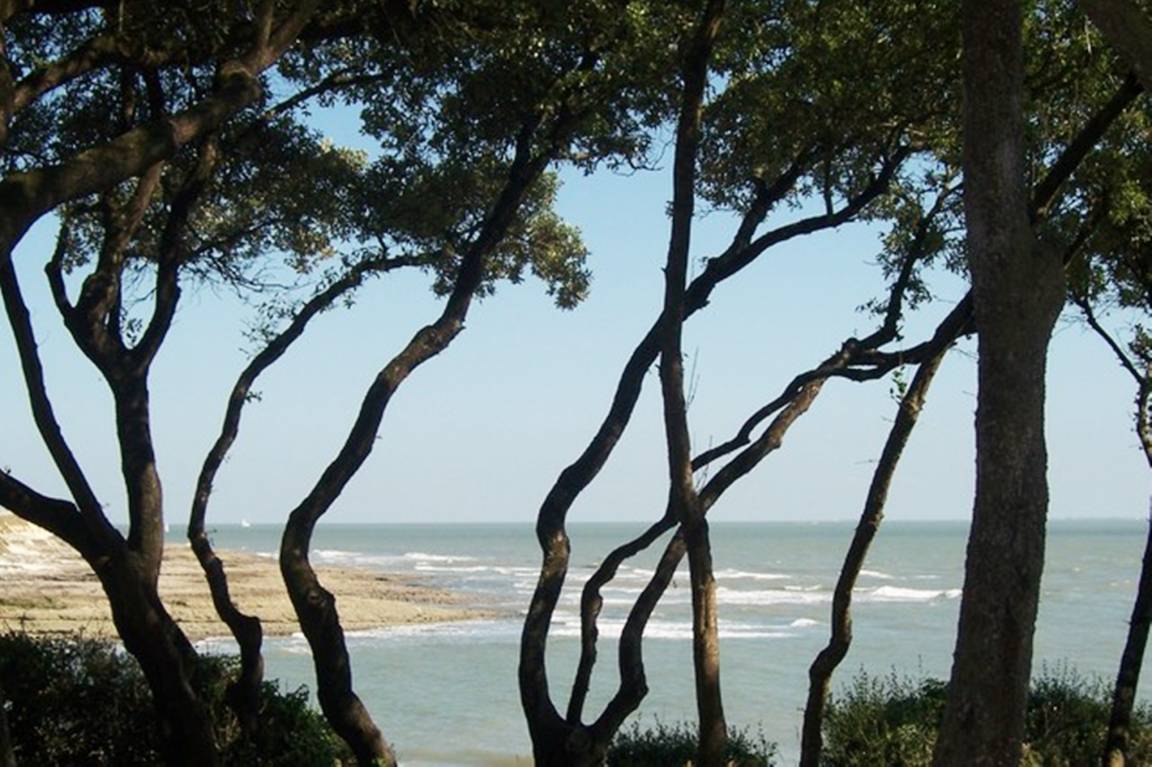 39 M² Maison De Vacances ∙ 1 Chambre ∙ 4 Personnes - Vaux-sur-Mer