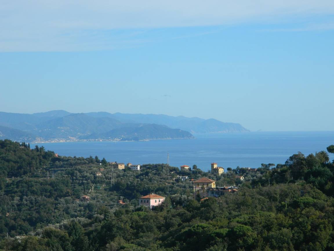 25 M² Studio Flat ∙ 1 Bedroom ∙ 3 Guests - Camogli