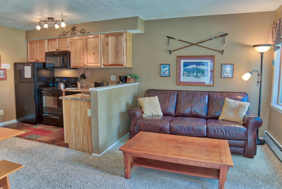 42 M² Apartment ∙ 1 Bedroom ∙ 4 Guests - Breckenridge, CO