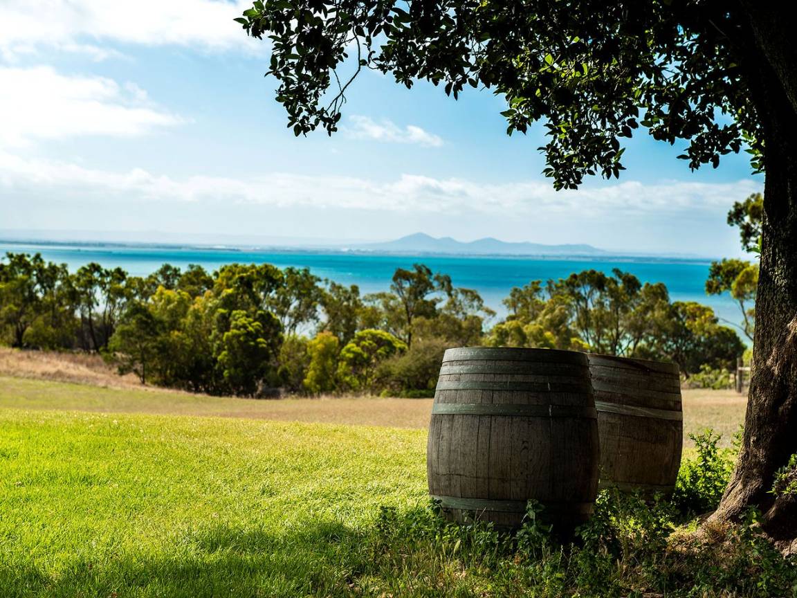 Camping ∙ 1 Chambre ∙ 4 Personnes - Melbourne