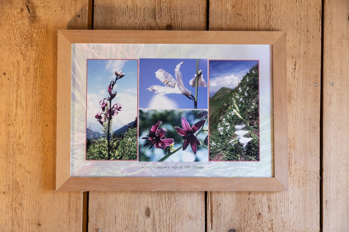 55 M² Appartement ∙ 1 Chambre ∙ 4 Personnes - Cluses