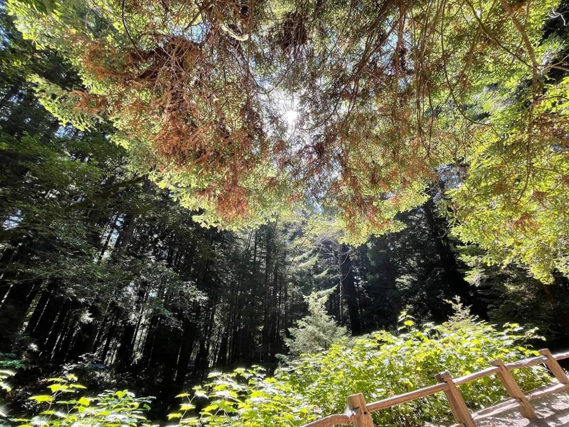 59 M² Appartement ∙ 2 Chambres ∙ 4 Personnes - Brookings, OR