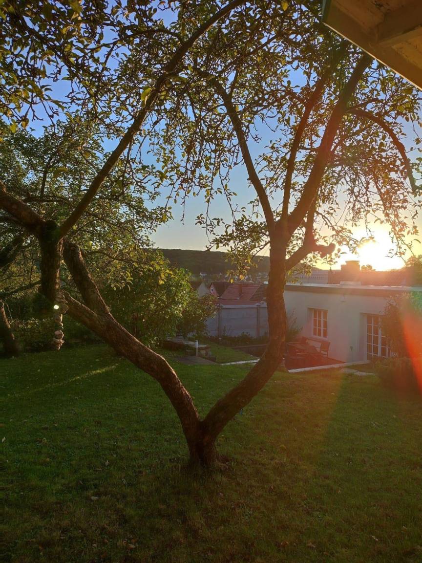 75 M² Appartement ∙ 1 Chambre ∙ 4 Personnes - Freyburg