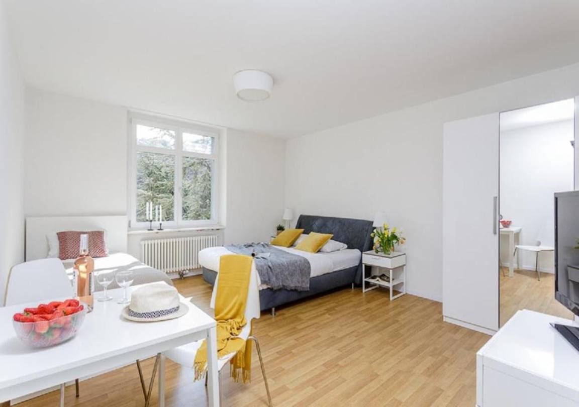 14 M² Apartment ∙ 3 Guests - Basel