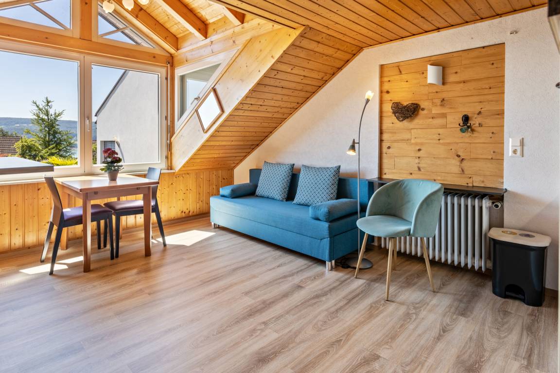 35 M² Apartment ∙ 1 Bedroom ∙ 2 Guests - Gaienhofen