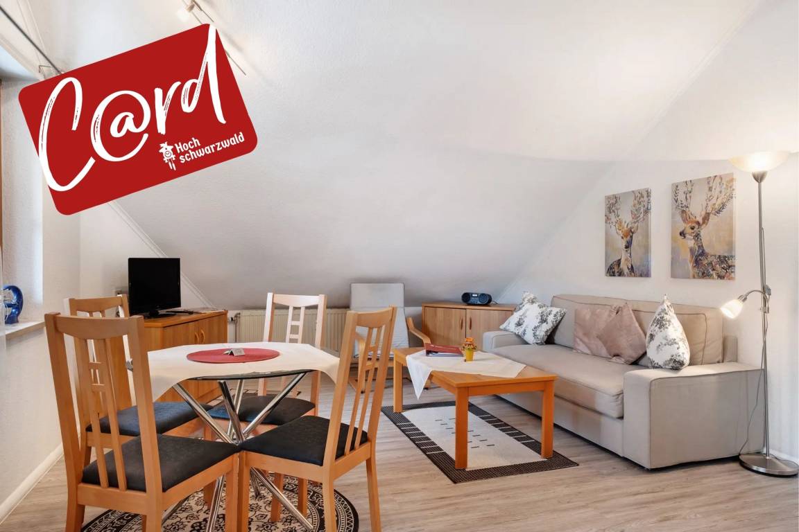 60 M² Apartment ∙ 2 Bedrooms ∙ 3 Guests - Titisee-Neustadt