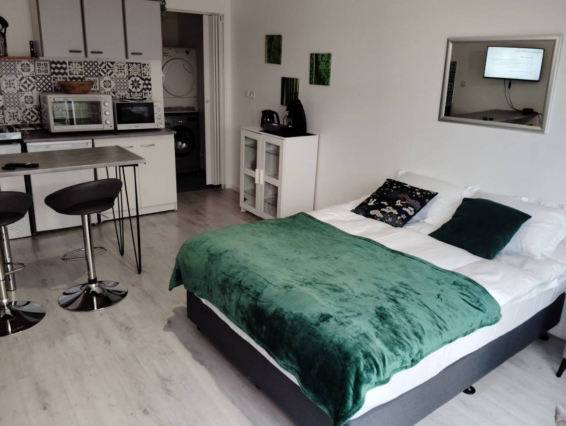 25 M² Studio Flat ∙ 1 Bedroom ∙ 2 Guests - Thionville