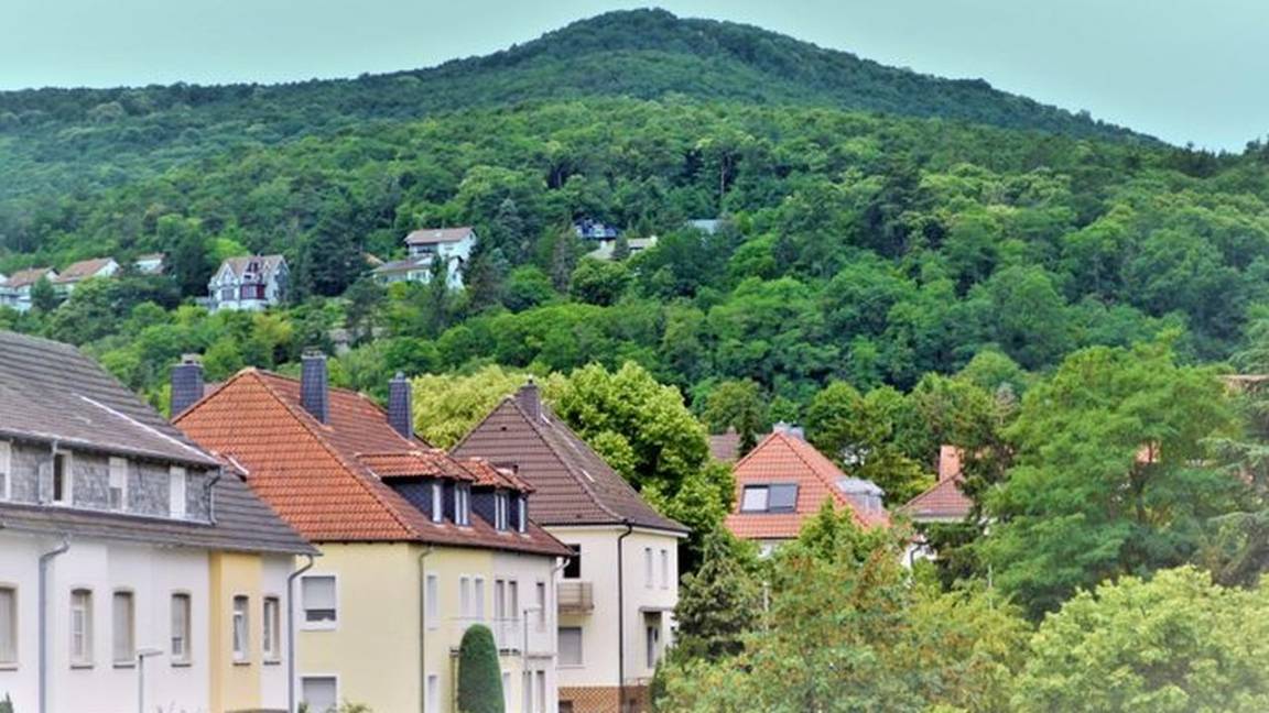 74 M² Ferienwohnung ∙ 2 Schlafzimmer ∙ 6 Gäste - Haßloch