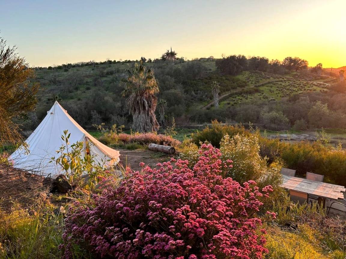 Leirintä ∙ 1 Makuuhuone ∙ 13 Vierasta - California