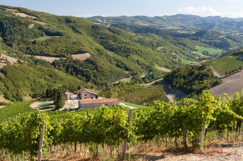 40 M² Farmhouse ∙ 1 Bedroom ∙ 2 Guests - Emilia-Romagna