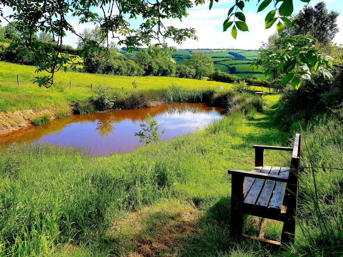 20 M² Cabin ∙ 1 Bedroom ∙ 2 Guests - Herefordshire
