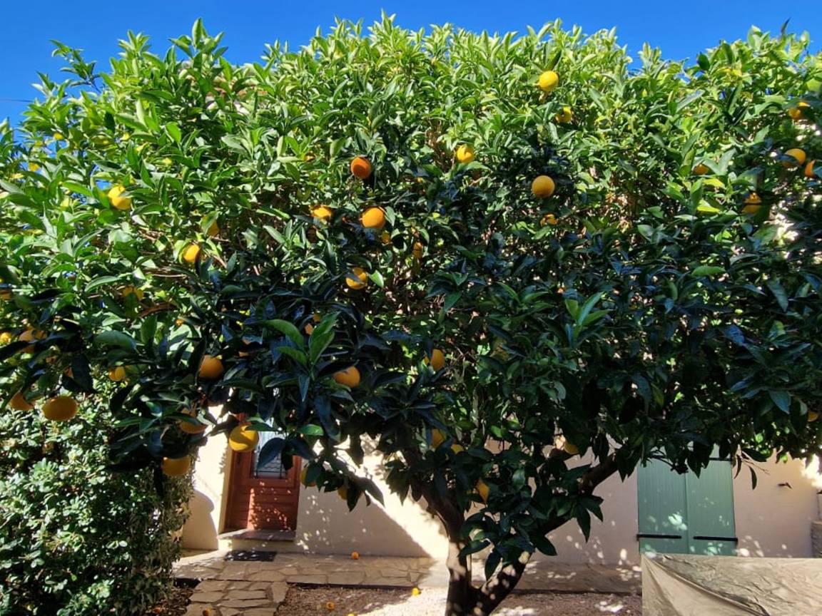 120 M² Casa ∙ 3 Habitaciones ∙ 6 Huéspedes - Cerbère