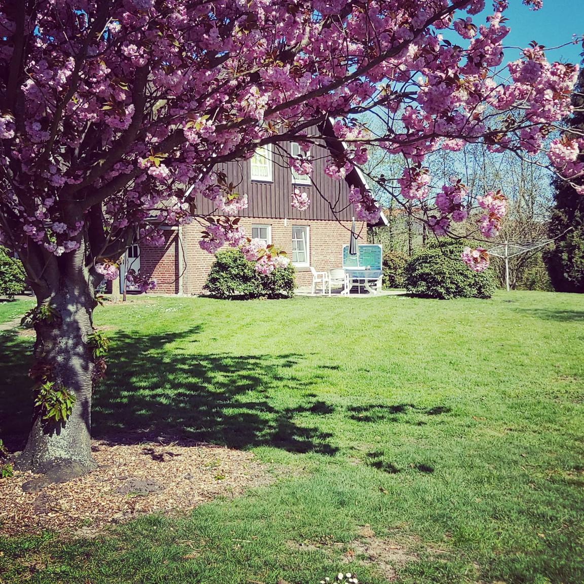 33 M² Ferienwohnung ∙ 2 Schlafzimmer ∙ 2 Gäste - Jork