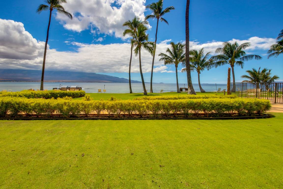51 M² Apartment ∙ 1 Bedroom ∙ 3 Guests - Kahului, HI