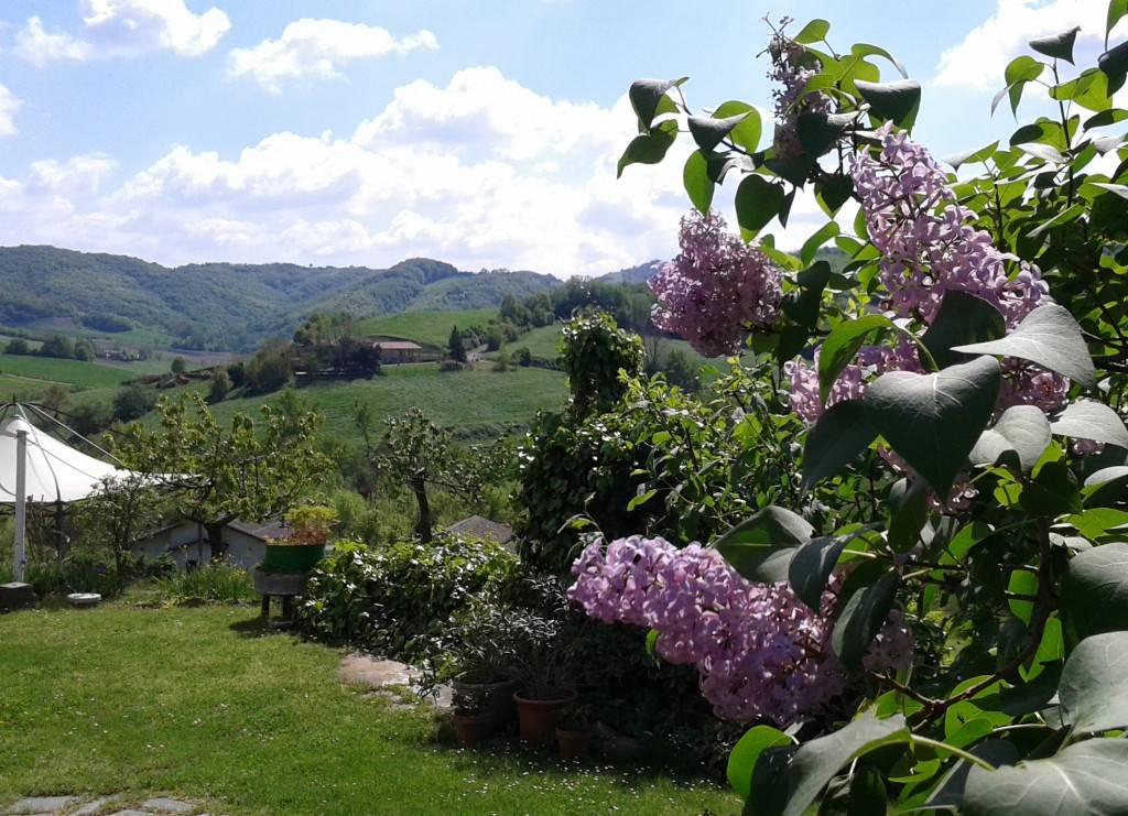 25 M² House ∙ 1 Bedroom ∙ 2 Guests - Emilia-Romagna