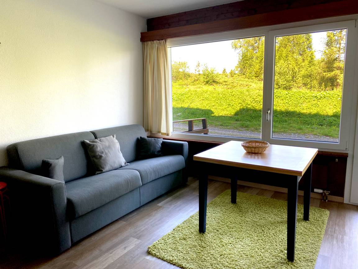 29 M² Apartamento ∙ 1 Habitación ∙ 4 Huéspedes - Nax