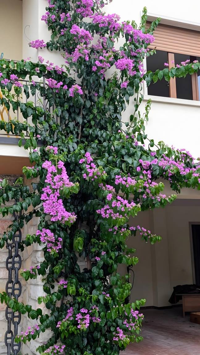 130 M² Apartment ∙ 2 Bedrooms ∙ 5 Guests - Pai