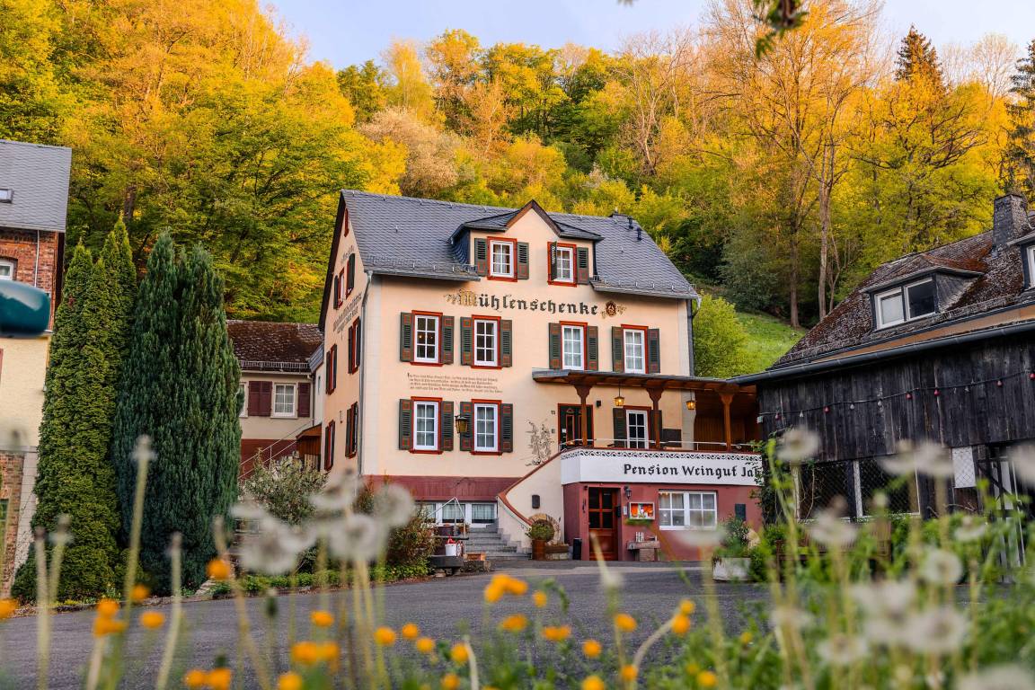Ferienwohnung ∙ 9 Schlafzimmer ∙ 22 Gäste - Bacharach