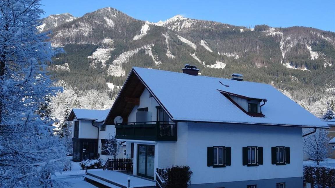 Appartement-garten, Dusche, Wc, 1 Schlafraum - Haus Gollner - Hinterstoder