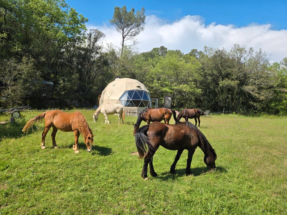 28 M² Studio ∙ 1 Chambre ∙ 3 Personnes - Quinson