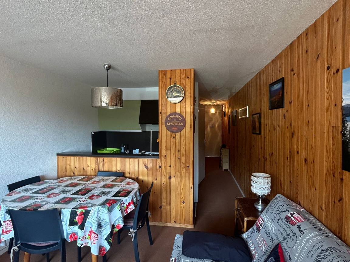 34 M² Appartement ∙ 1 Chambre ∙ 4 Personnes - Murol