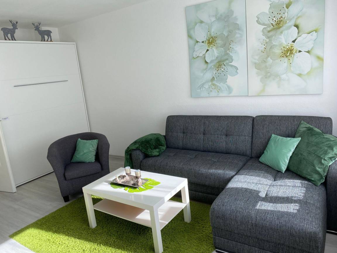 55 M² Appartement ∙ 1 Chambre ∙ 5 Personnes - Ilsenburg