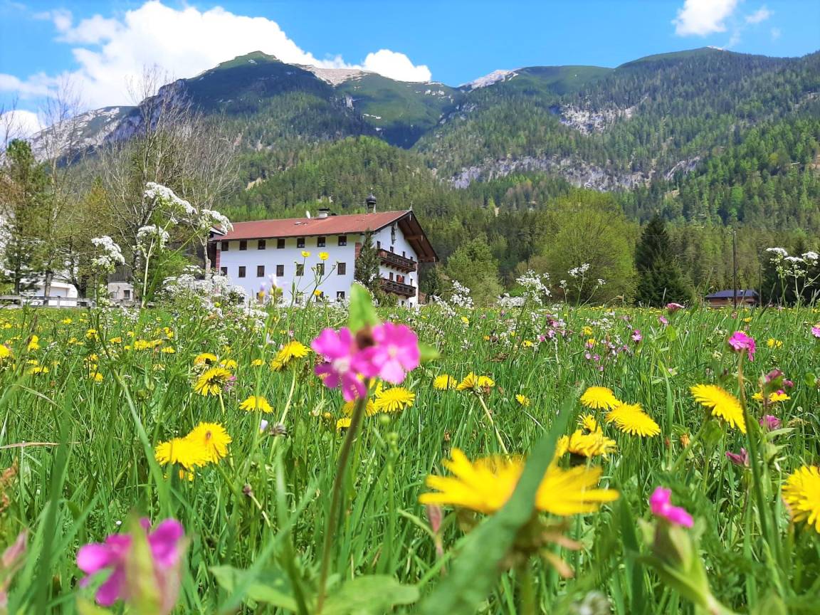 100 M² Appartement ∙ 2 Chambres ∙ 6 Personnes - Achenkirch