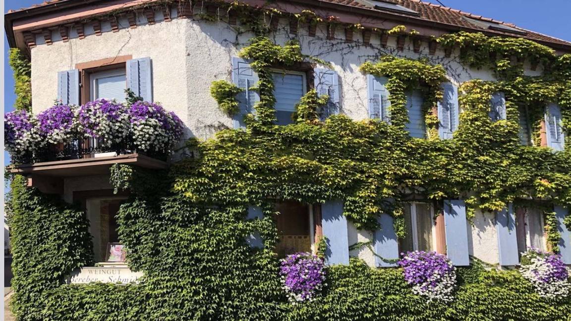 70 M² Ferienwohnung ∙ 1 Schlafzimmer ∙ 2 Gäste - Breisach am Rhein