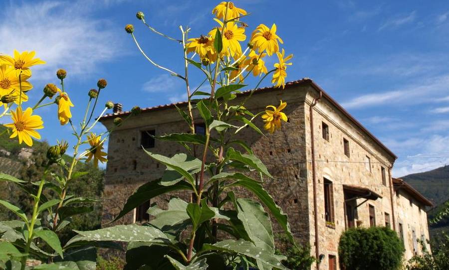 20 M² Private Room ∙ 1 Bedroom ∙ 3 Guests - Pisa