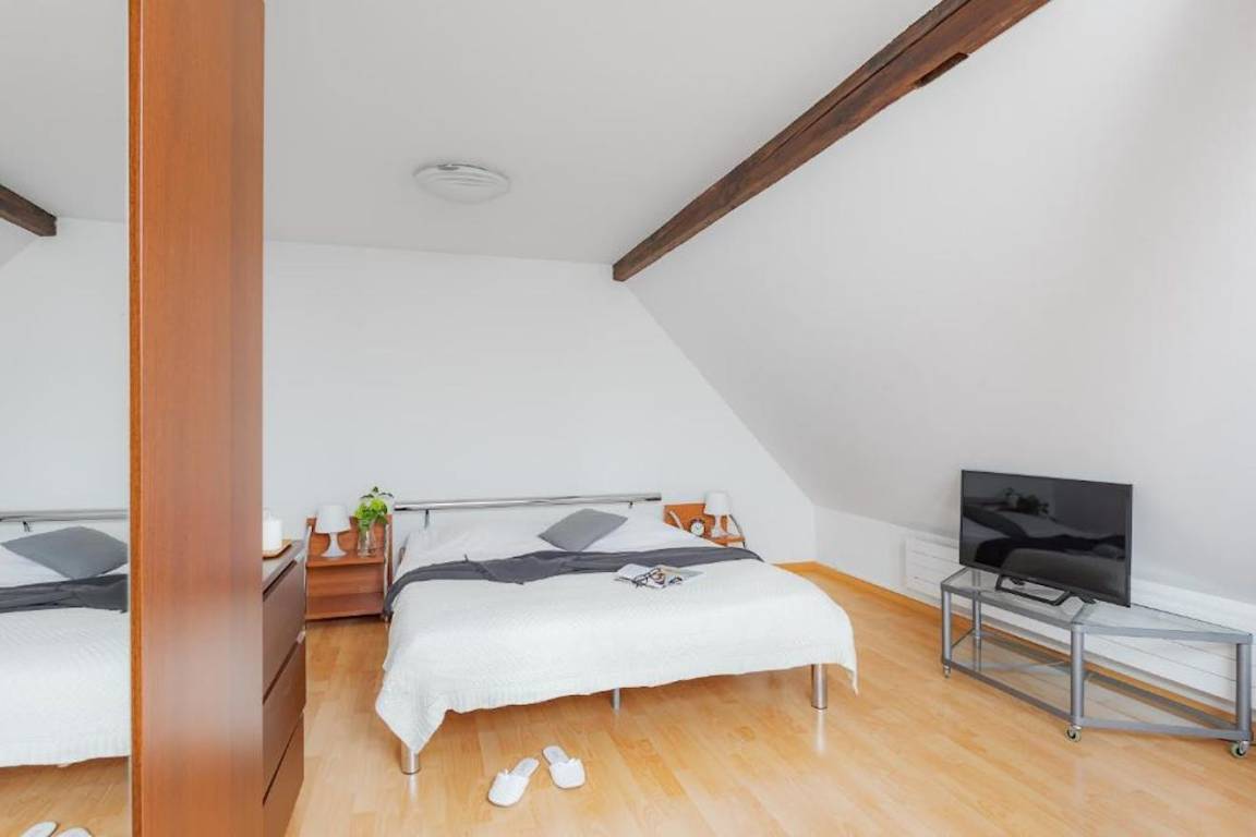 17 M² Ferienwohnung ∙ 1 Schlafzimmer ∙ 2 Gäste - Zürich