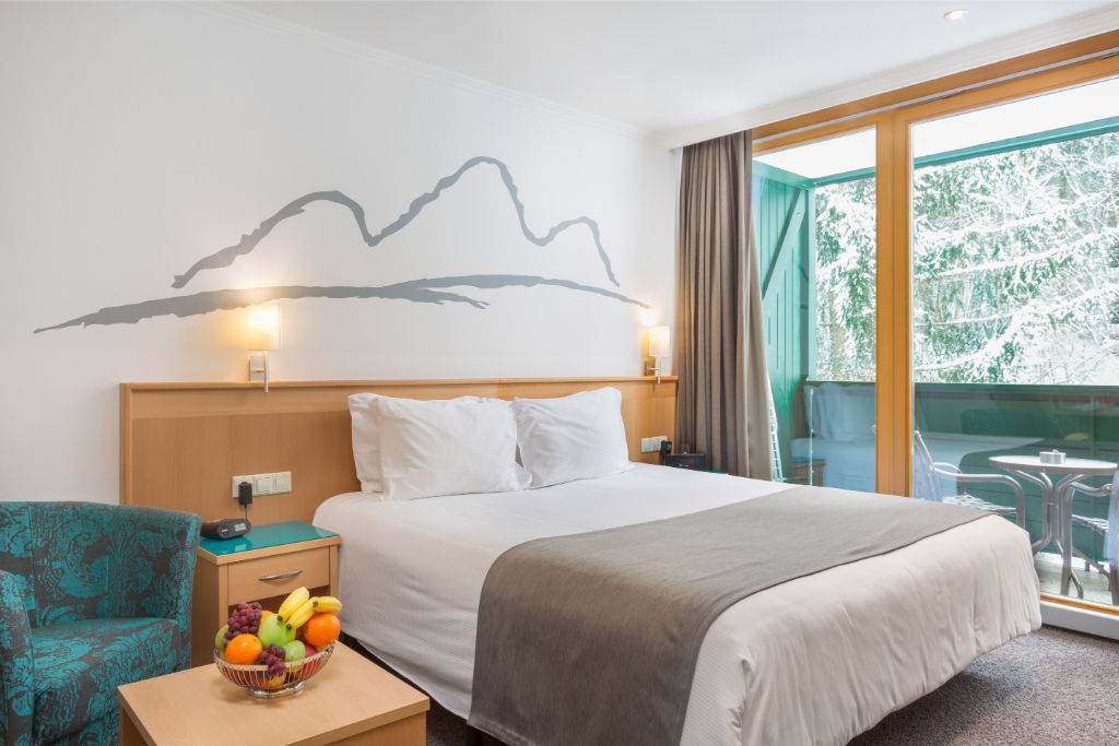 Apartment ∙ 1 Bedroom ∙ 2 Guests - Hallstatt