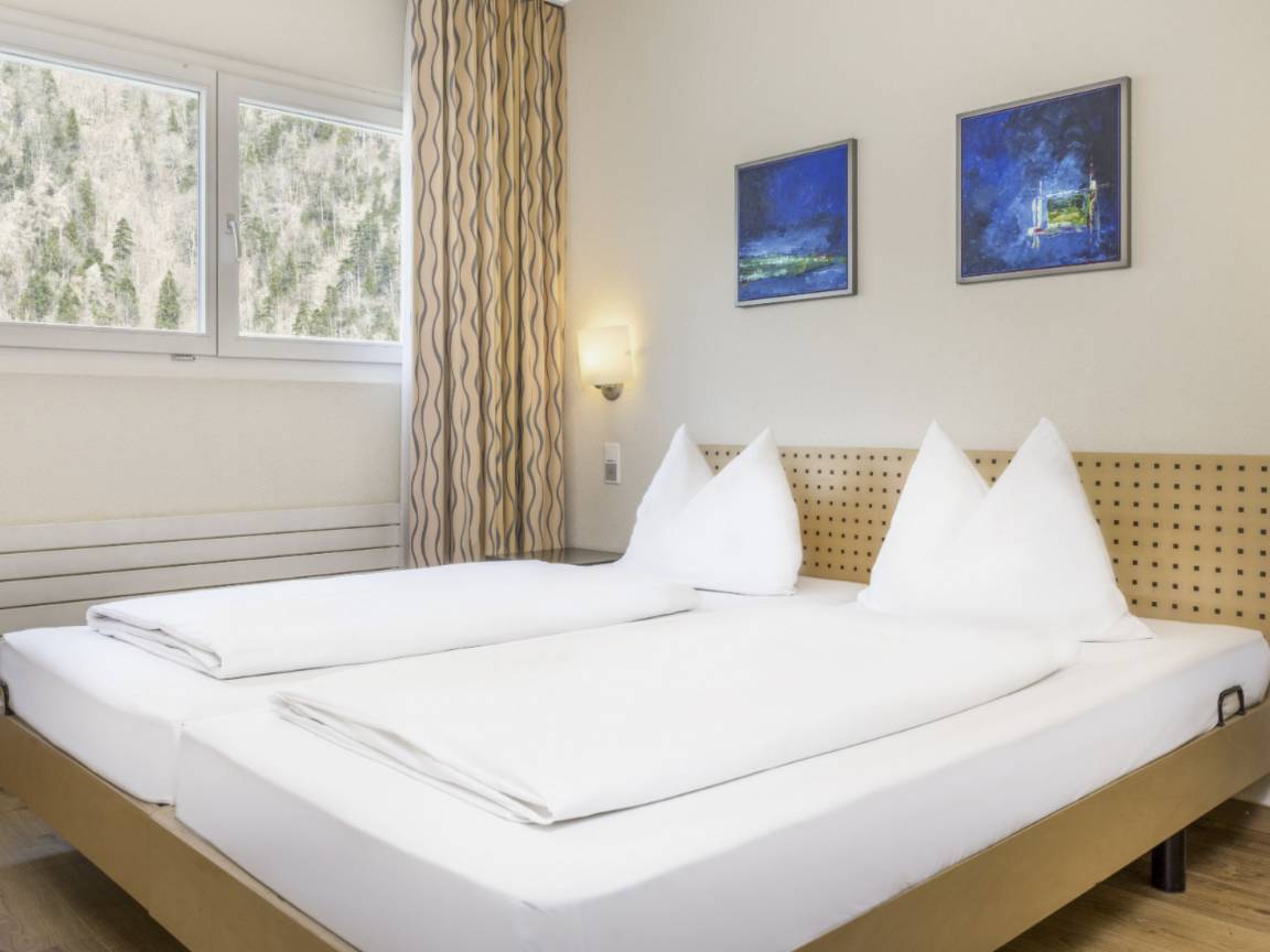 Ferienwohnung ∙ 1 Schlafzimmer ∙ 4 Gäste - Wilderswil