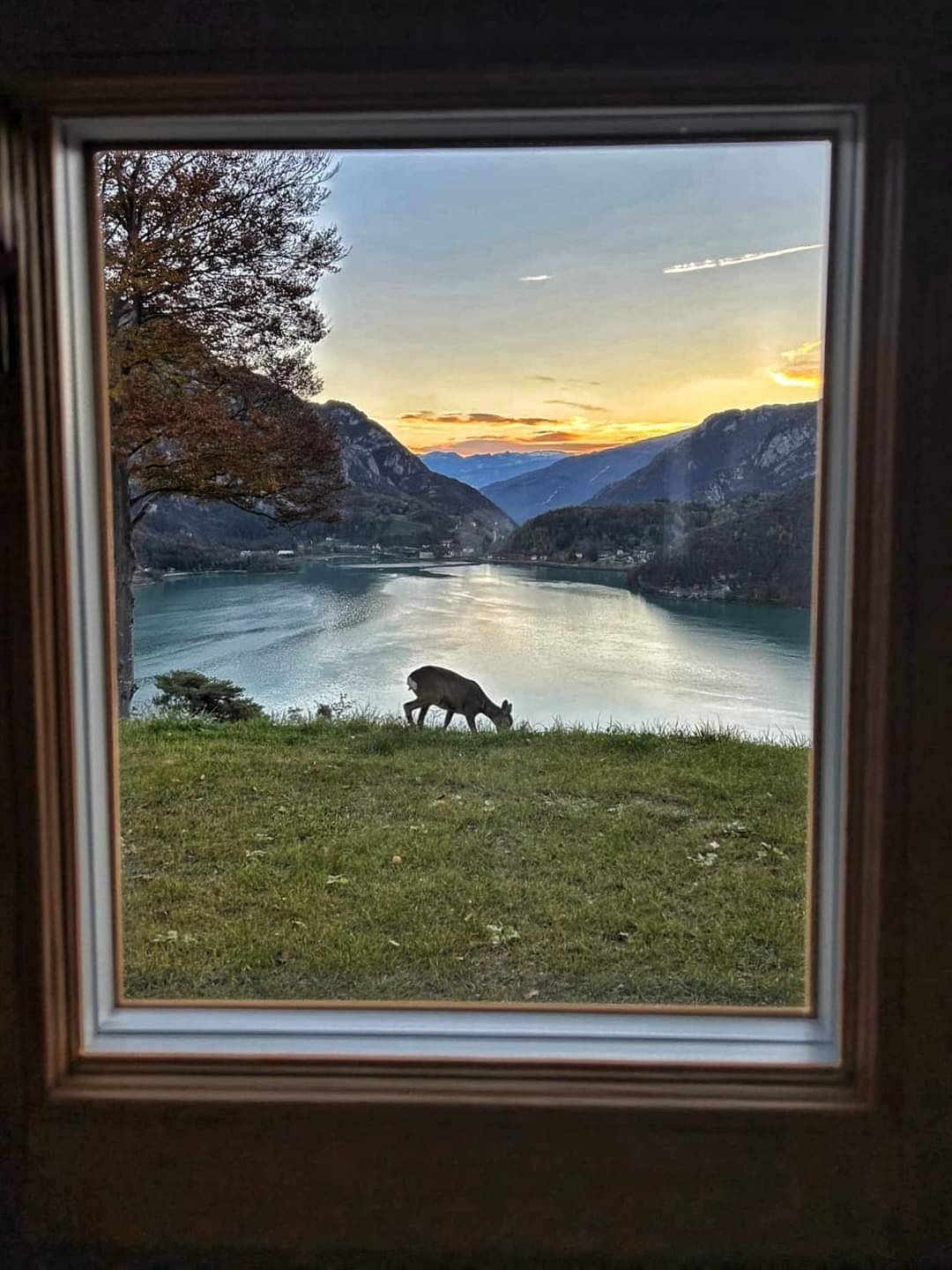 70 M² Chalet ∙ 1 Bedroom ∙ 2 Guests - Ledro