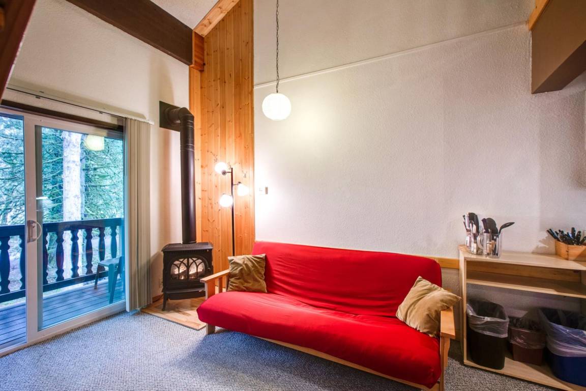 37 M² アパートメント ∙ 寝室: 1 ∙ ゲスト4 人 - ベーカー山, WA