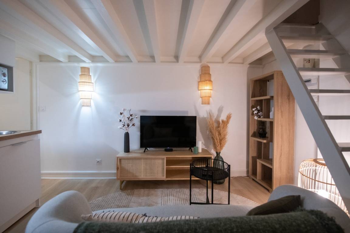26 M² Appartamento Vacanza ∙ 1 Camera Da Letto ∙ 2 Ospiti - Lione