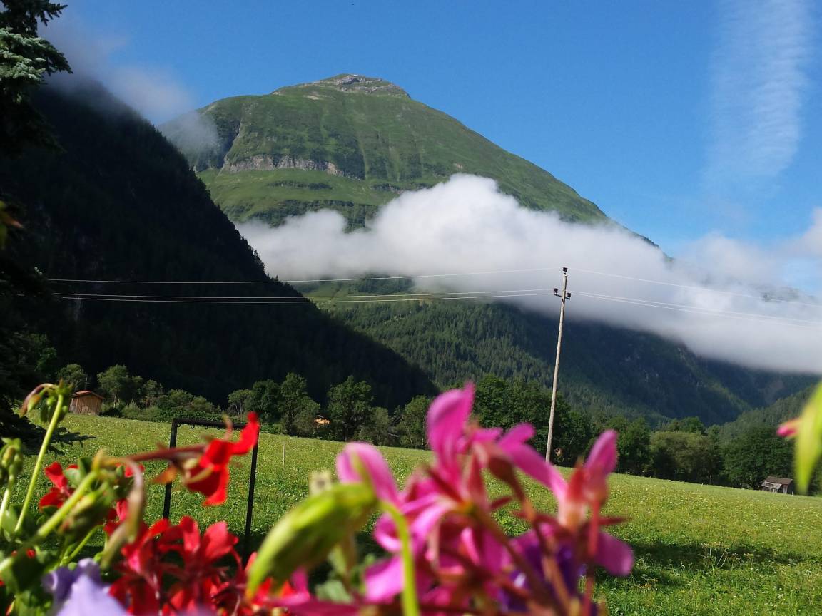 25 M² Hotel ∙ 1 Bedroom ∙ 3 Guests - Steeg