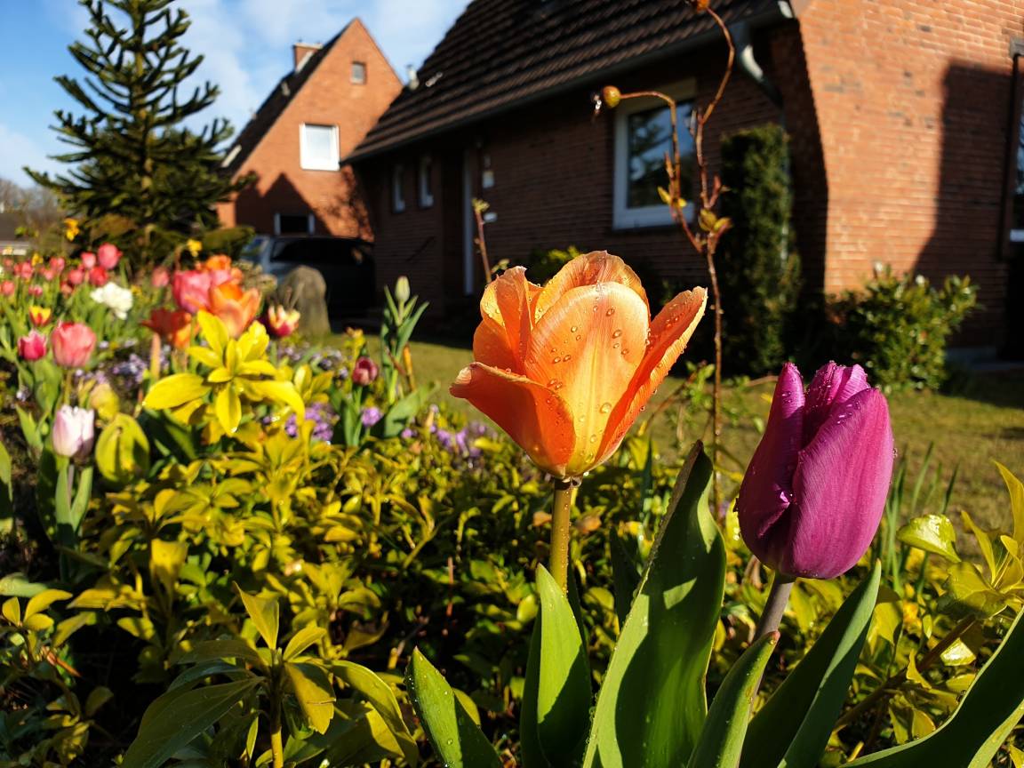 103 M² Ferienhaus ∙ 2 Schlafzimmer ∙ 4 Gäste - Rendsburg