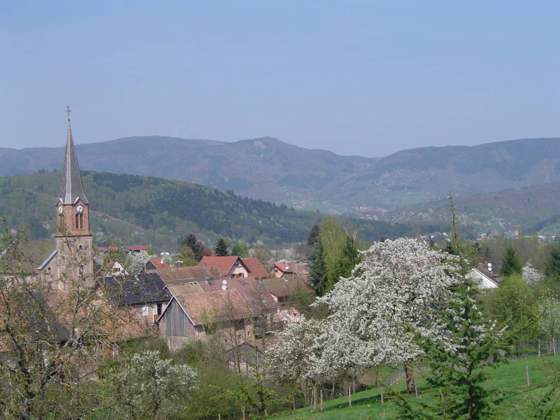 50 M² Maison De Vacances ∙ 1 Chambre ∙ 3 Personnes - Bergheim, France