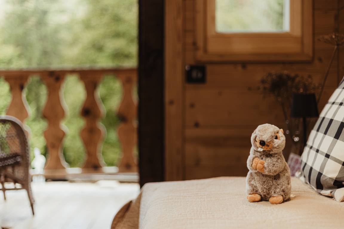 35 M² Chalet ∙ 2 Chambres ∙ 4 Personnes - Samoëns