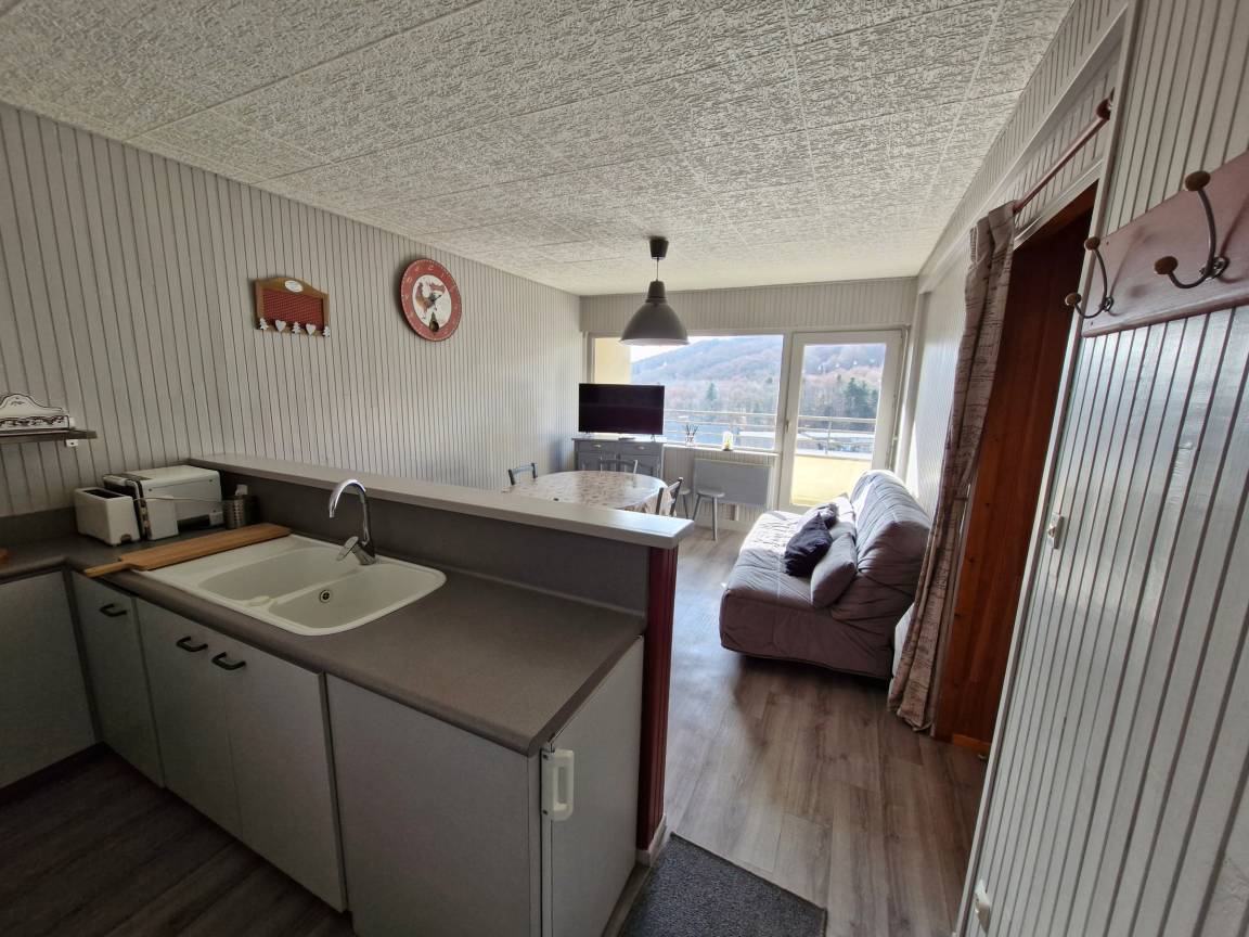 35 M² Appartement ∙ 1 Chambre ∙ 6 Personnes - Puy de Sancy