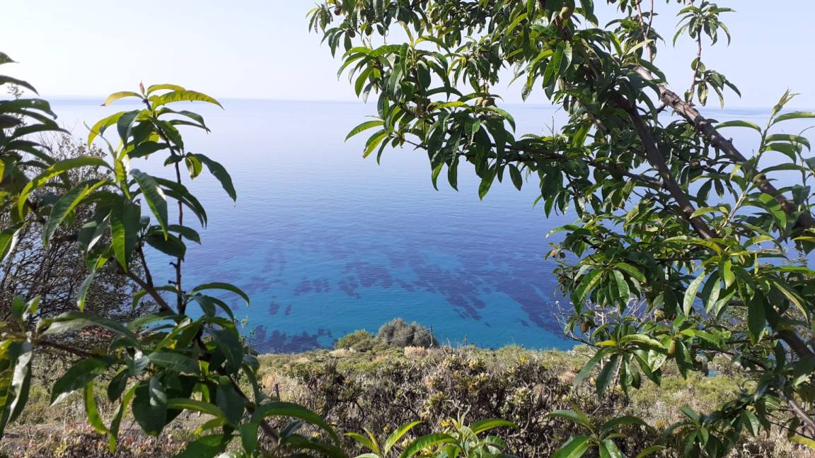 Casa Vacanza ∙ 1 Camera Da Letto ∙ 1 Ospite - Ventimiglia