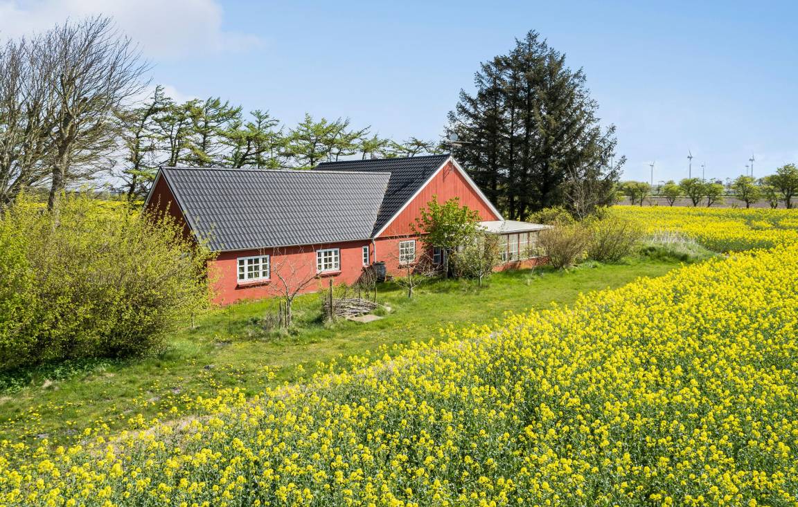126 M² Ferienhaus ∙ 3 Schlafzimmer ∙ 6 Gäste - Ringkøbing