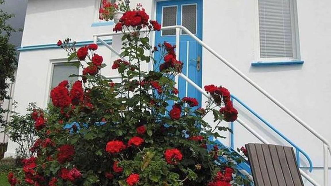 35 M² Appartement ∙ 1 Chambre ∙ 2 Personnes - Sassnitz