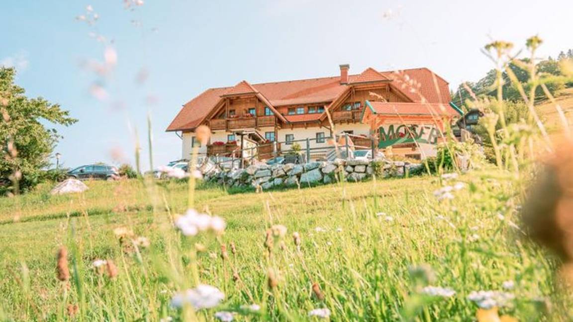 20 M² Hotel ∙ 1 Bedroom ∙ 2 Guests - Murau
